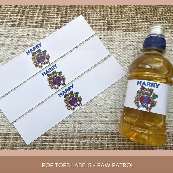 Paw Patrol Personalised Sticker - Etsy Australia