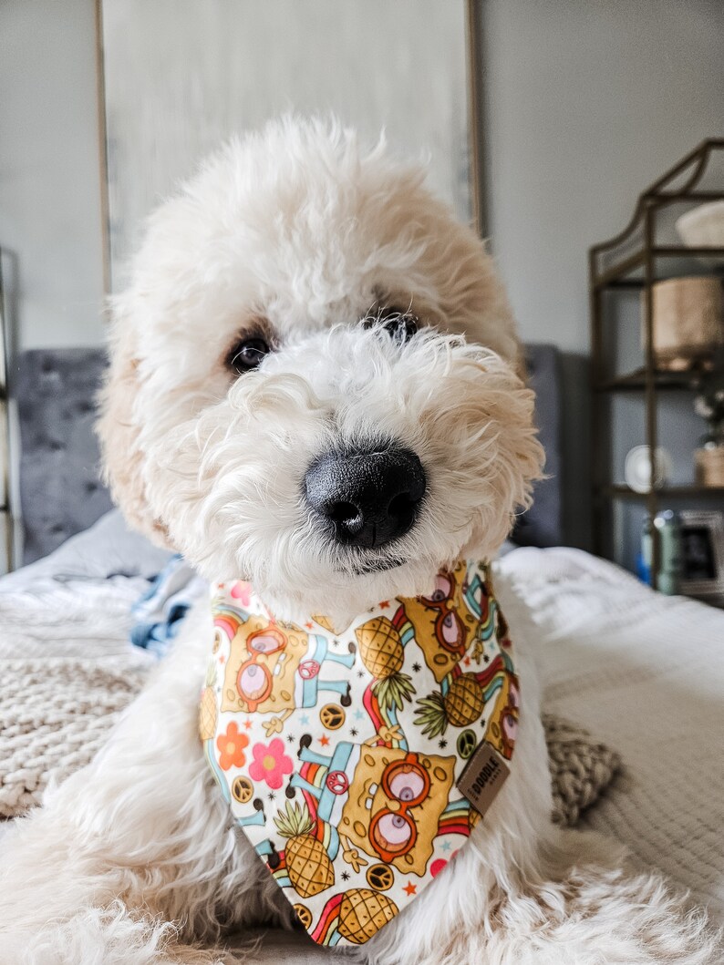 Groovy Sponge Dog Bandana: Reversible Snap-on Pet Bandana - Etsy