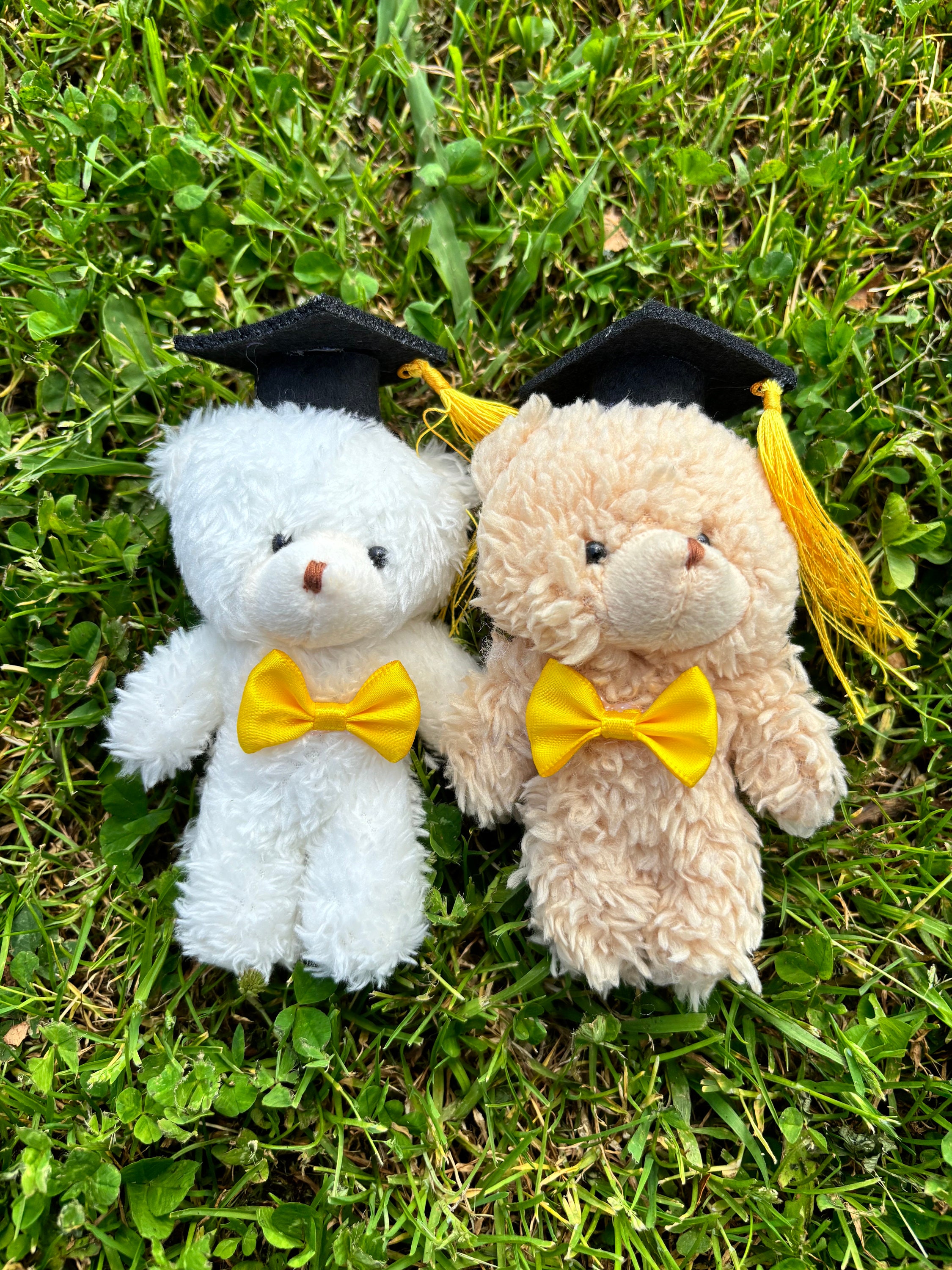 Graduation Leis With Teddy/ Graduation Gift/ - Etsy