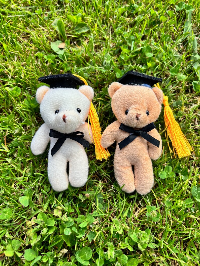 Graduation Leis With Teddy/ Graduation Gift/ - Etsy