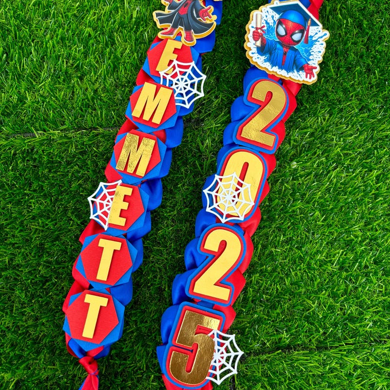 Spiderman Graduate - Etsy