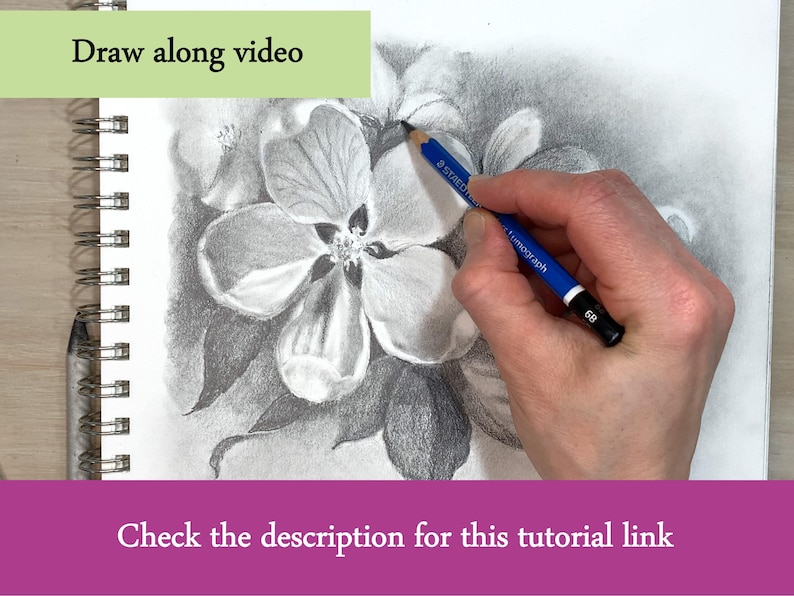 Flower Painting Outline to Trace, Blossom Floral Coloring Page ...