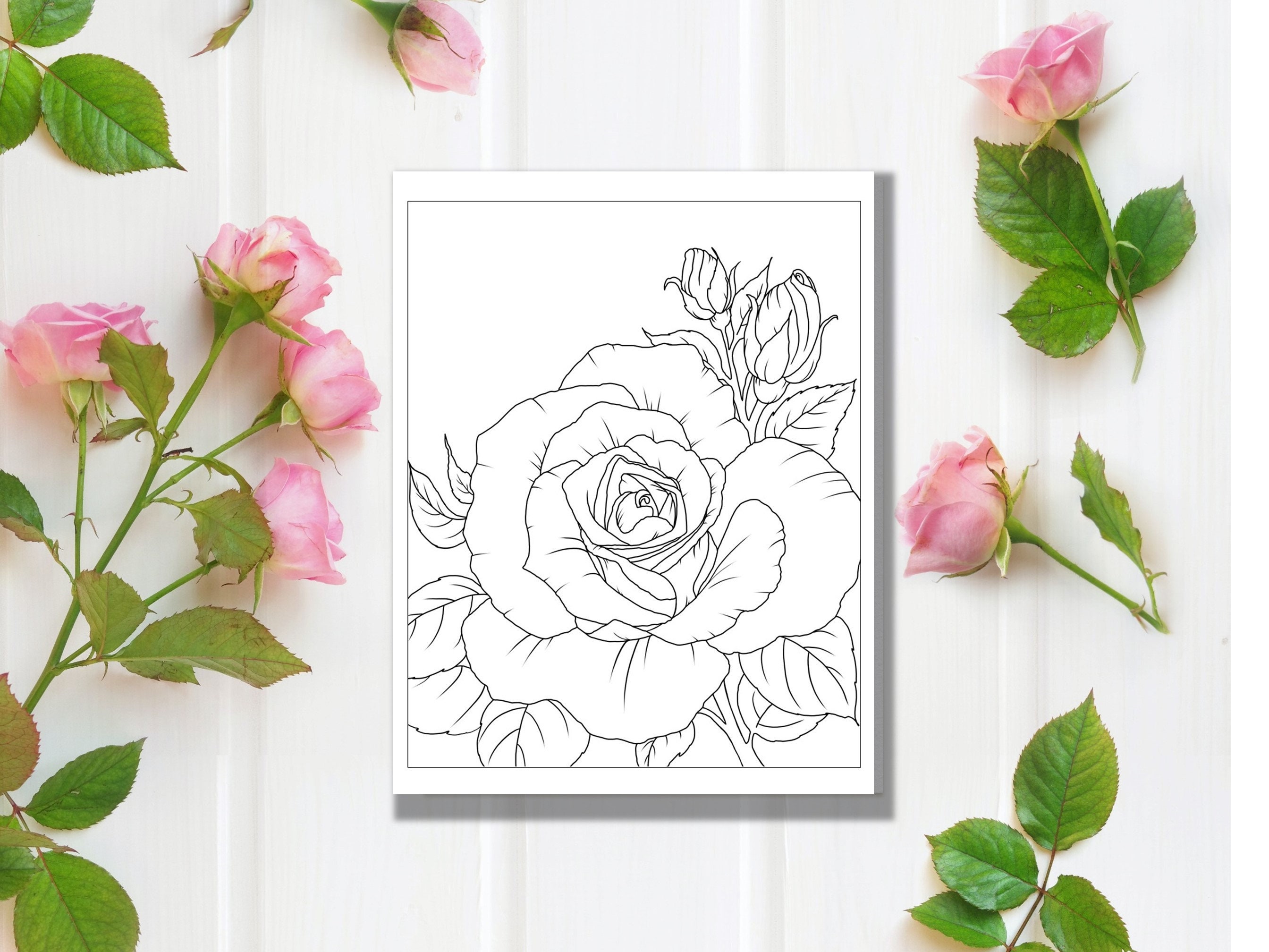 Realistic Rose Coloring Page Printable Rose Outline to Paint DIY ...