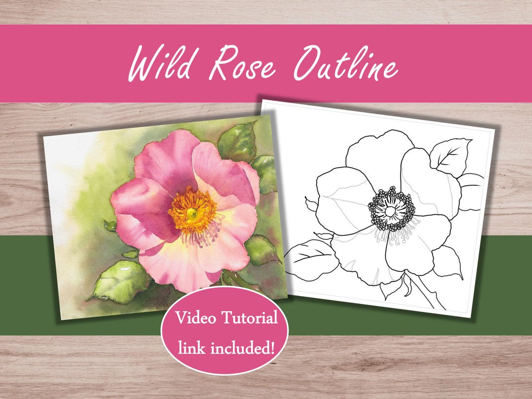 Wild Rose Painting Outline to Trace & Paint, Flower Watercolor Tutorial ...