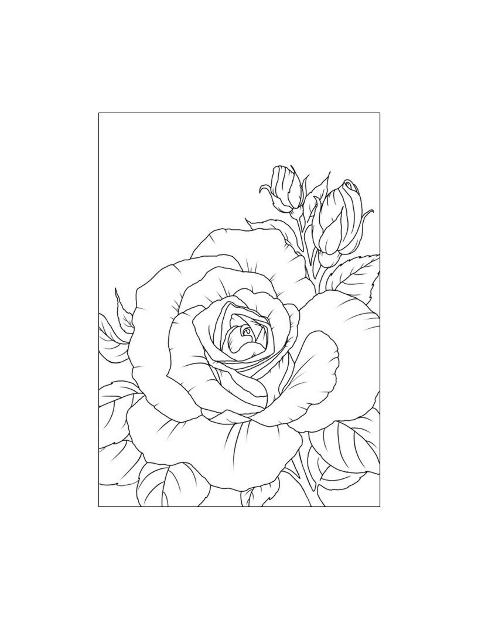 Realistic Rose Coloring Page Printable Rose Outline to Paint DIY ...
