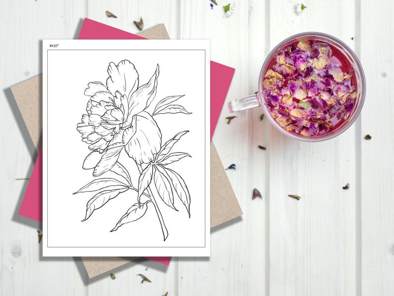 Flower Painting Outline to Trace, Peony Outline and Coloring Page With ...