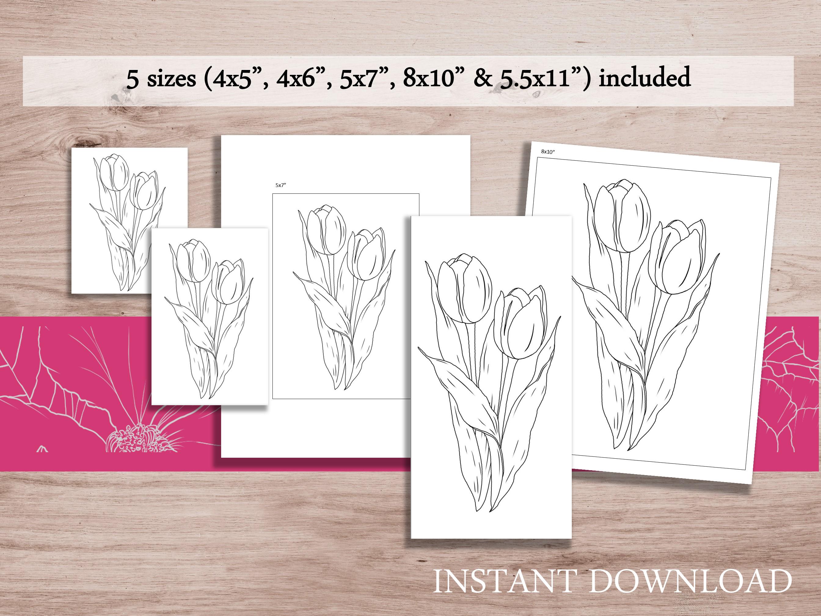 Flower Painting Outline to Trace, Spring Floral Coloring Page Tulip ...