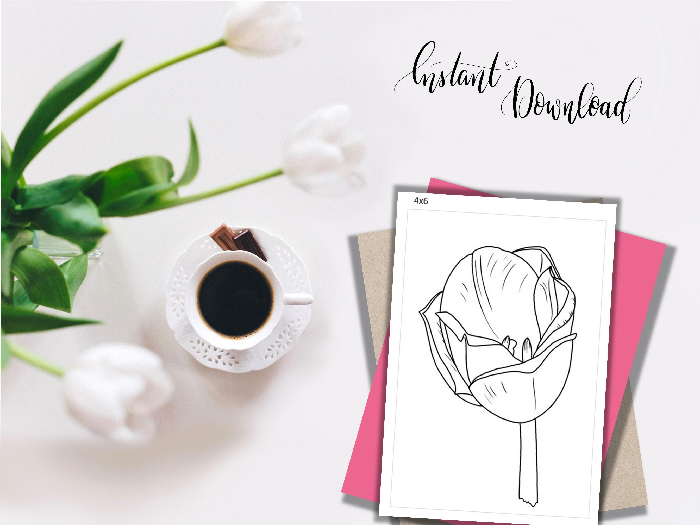 Tulip Watercolor Pencil Practice Outline to Trace and Paint, Spring ...