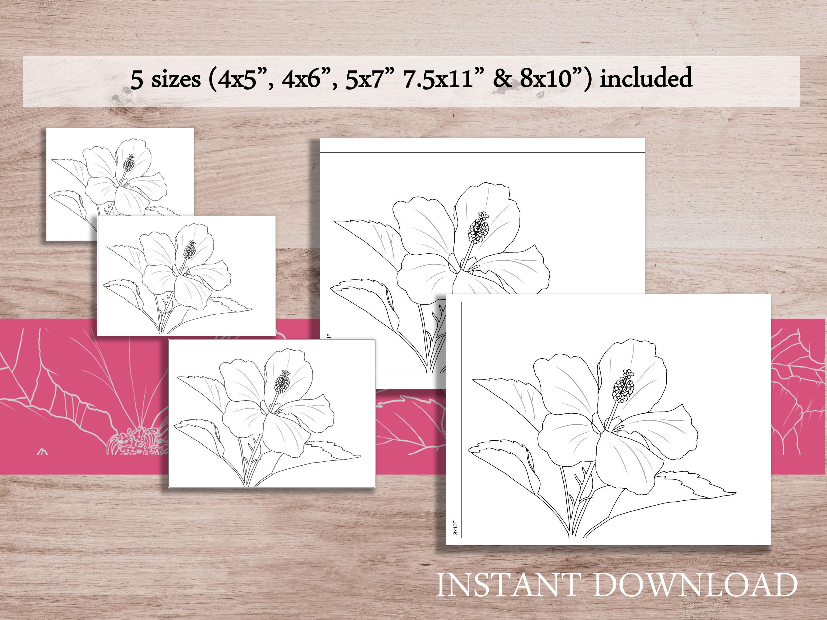 Flower Painting Outline to Trace, Hibiscus Flower Printable Floral ...