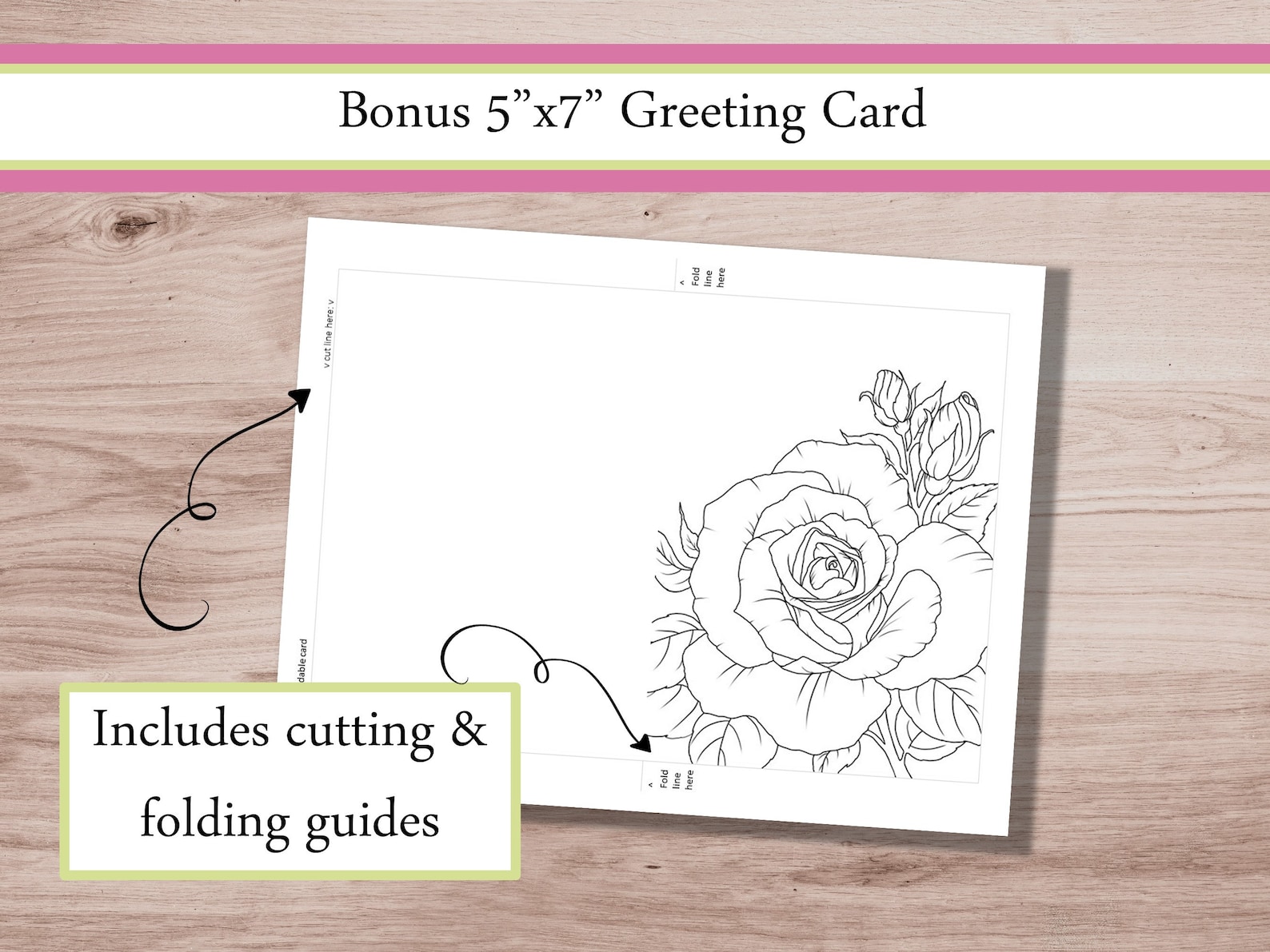 Realistic Rose Coloring Page Printable Rose Outline to Paint DIY ...
