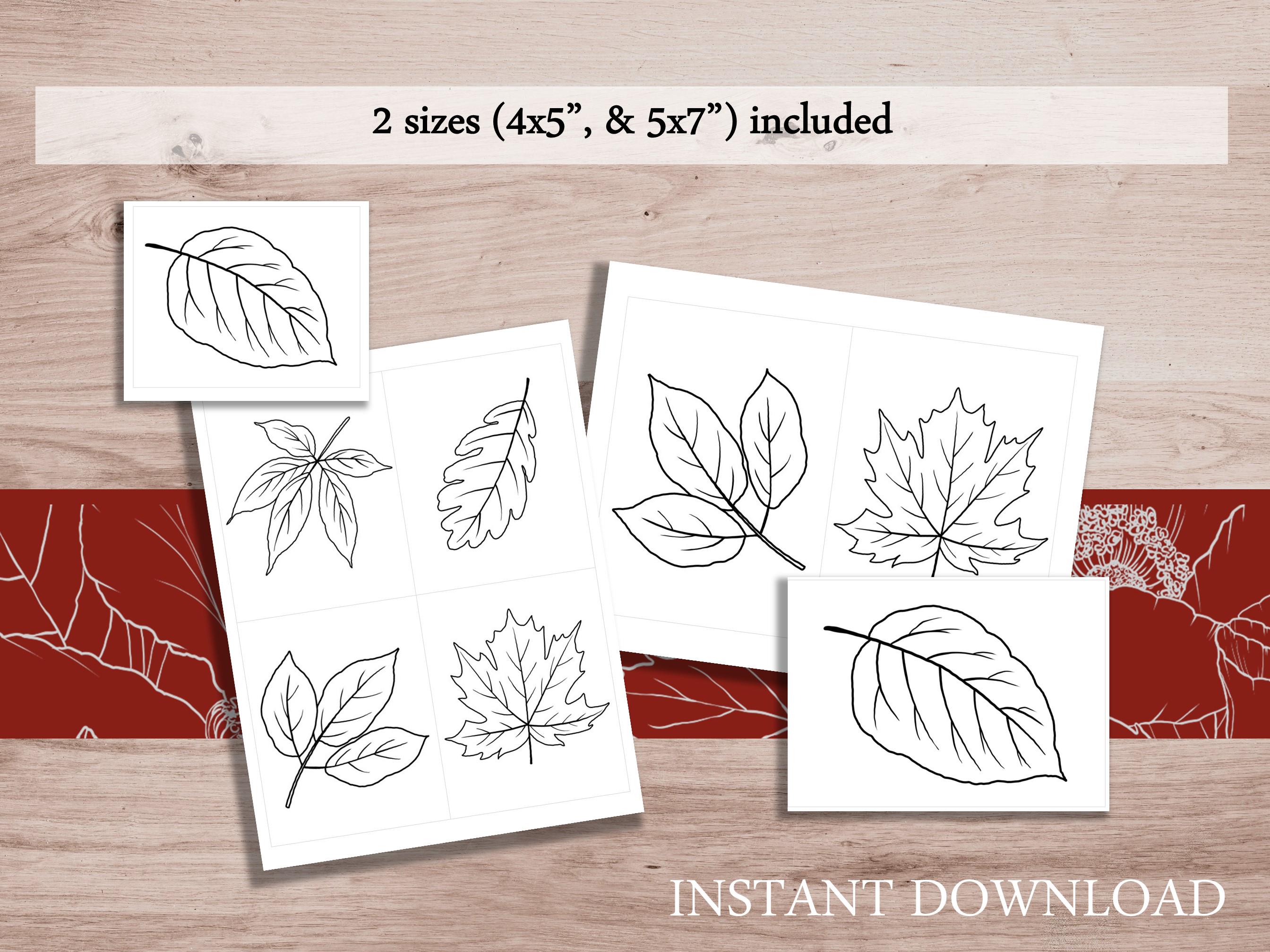 Autumn Leaf Painting Outline to Trace, Fall Leaves Printable Coloring ...