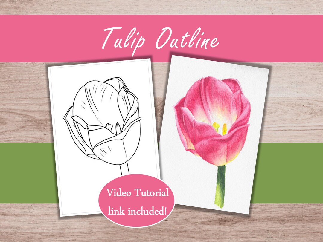 Tulip Watercolor Pencil Practice Outline to Trace and Paint, Spring ...