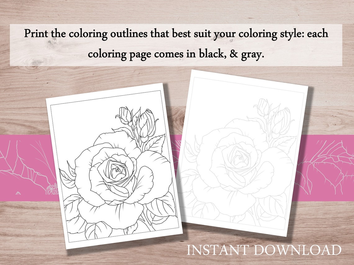 Realistic Rose Coloring Page Printable Rose Outline to Paint DIY ...