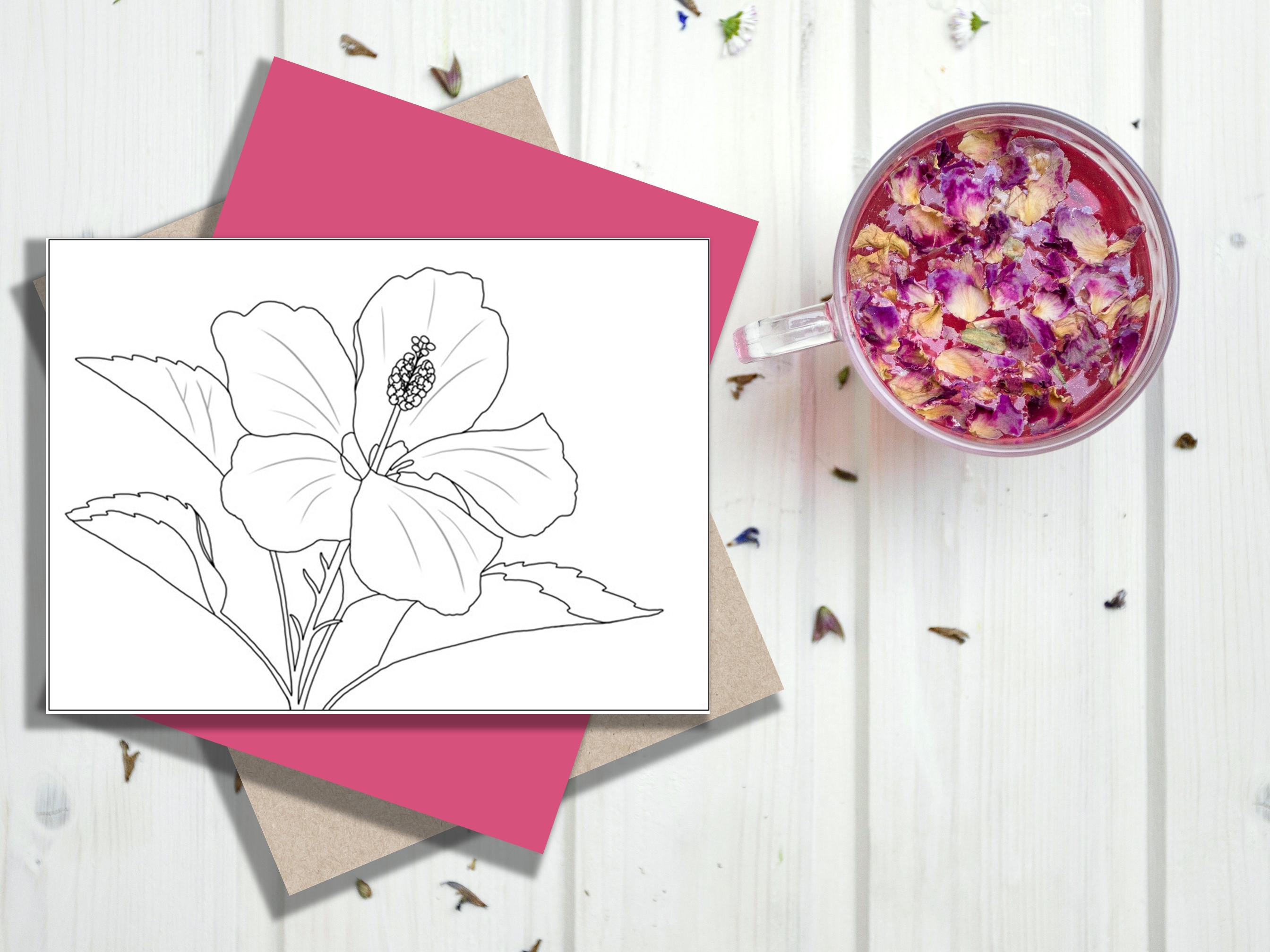 Flower Painting Outline to Trace, Hibiscus Flower Printable Floral ...