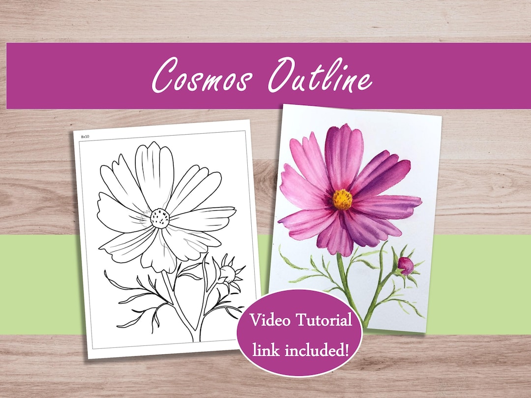 Flower Painting Outline to Trace, Cosmos Floral Coloring Page Printable ...