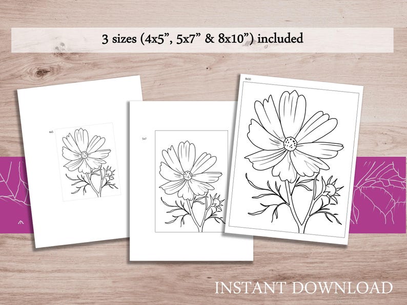 Flower Painting Outline to Trace, Cosmos Floral Coloring Page Printable ...