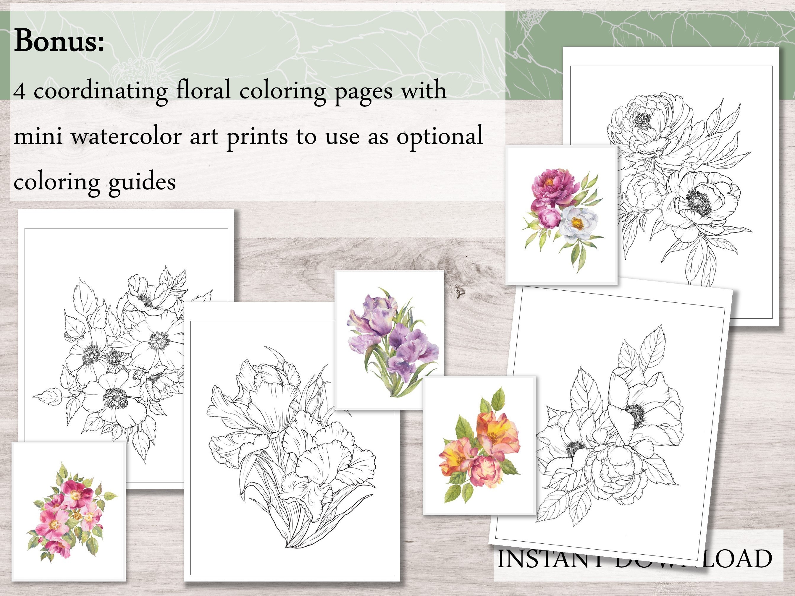 Floral Scripture Adult Coloring Page Bundle, Bible Verse Coloring Book ...