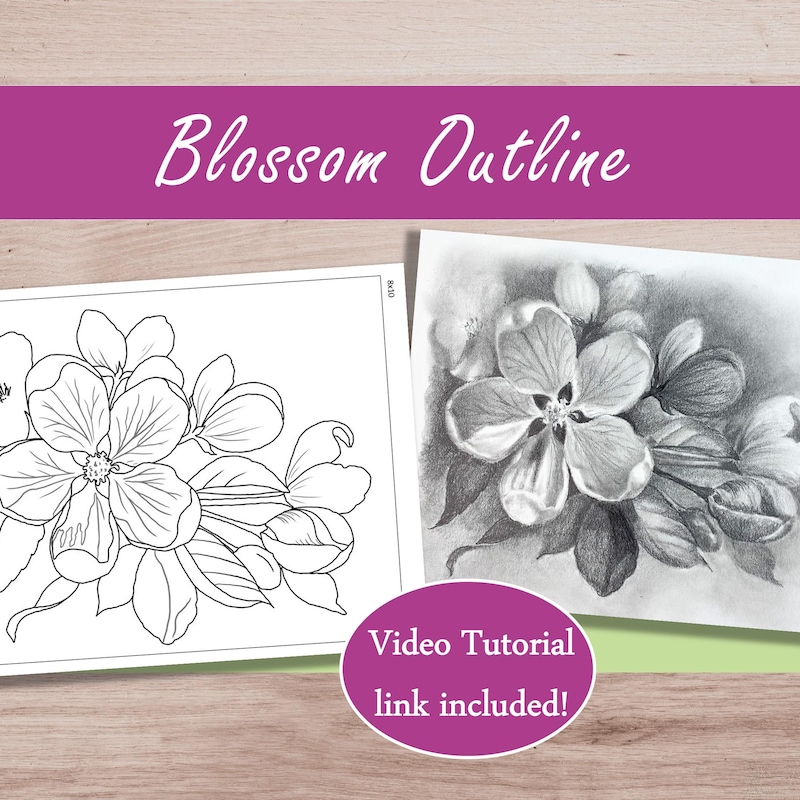 Traceable Drawings for Adults - Etsy