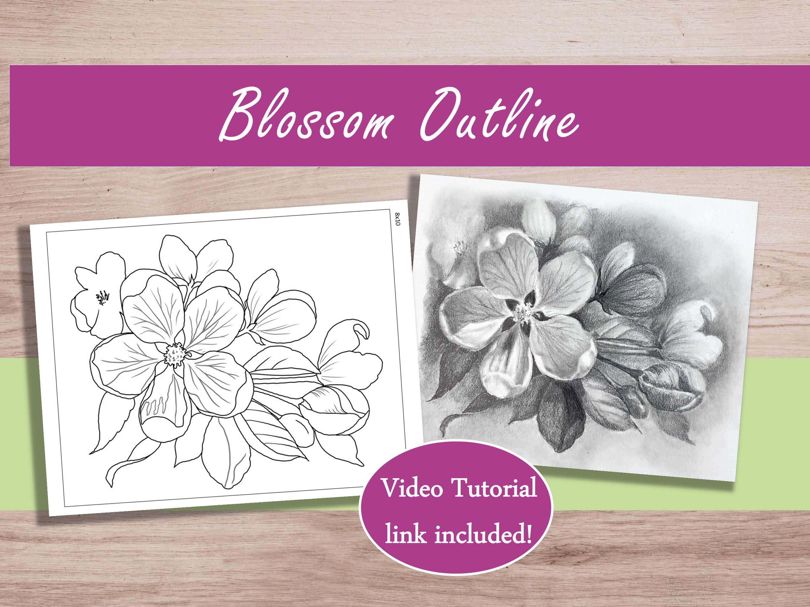 Flower Painting Outline to Trace, Blossom Floral Coloring Page ...