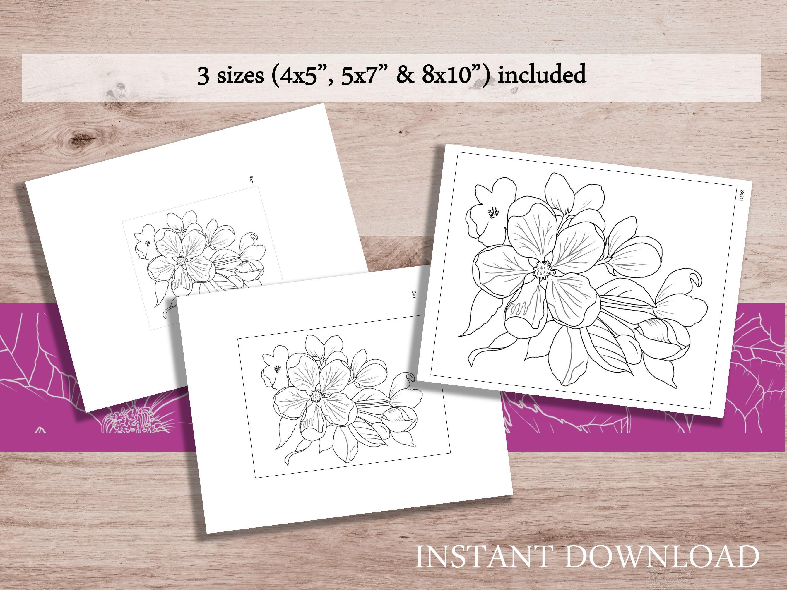 Flower Painting Outline to Trace, Blossom Floral Coloring Page ...