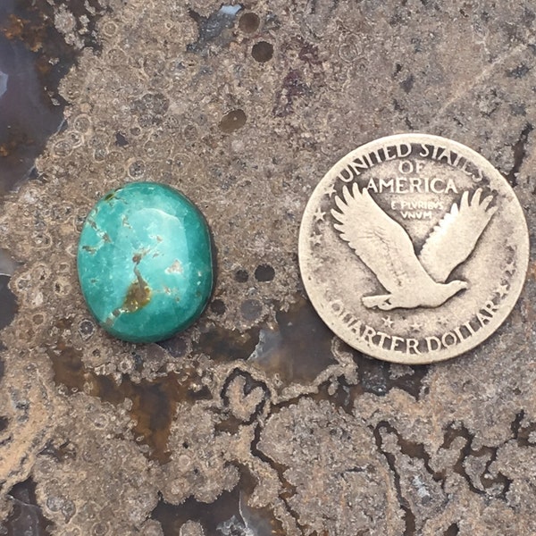 Fox Turquoise - Etsy