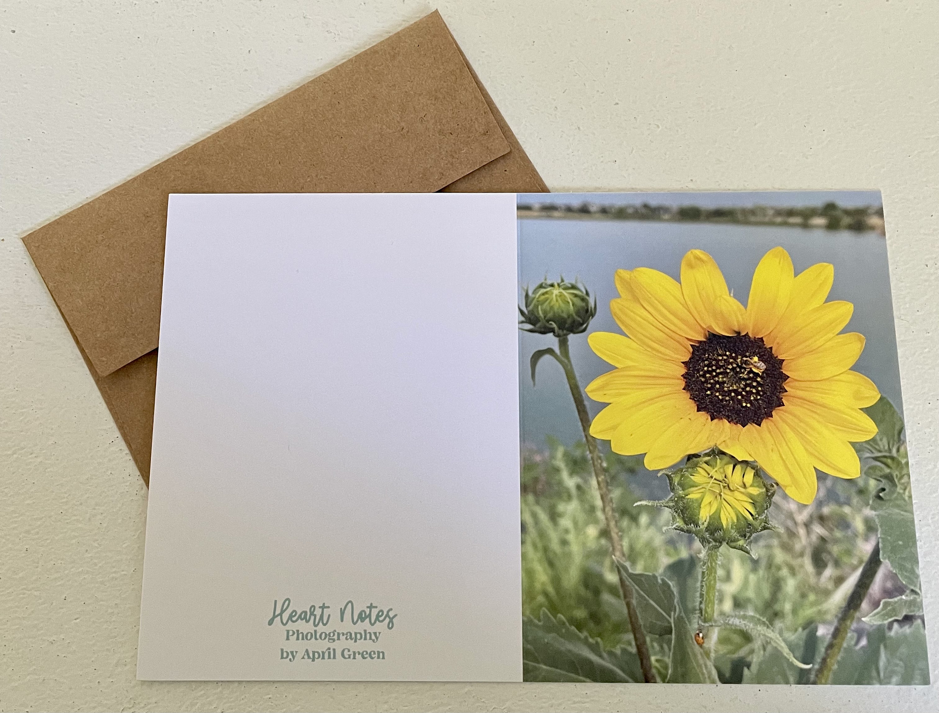 Sunflower Collection Assorted Greeting Card Set of 6 With Kraft ...