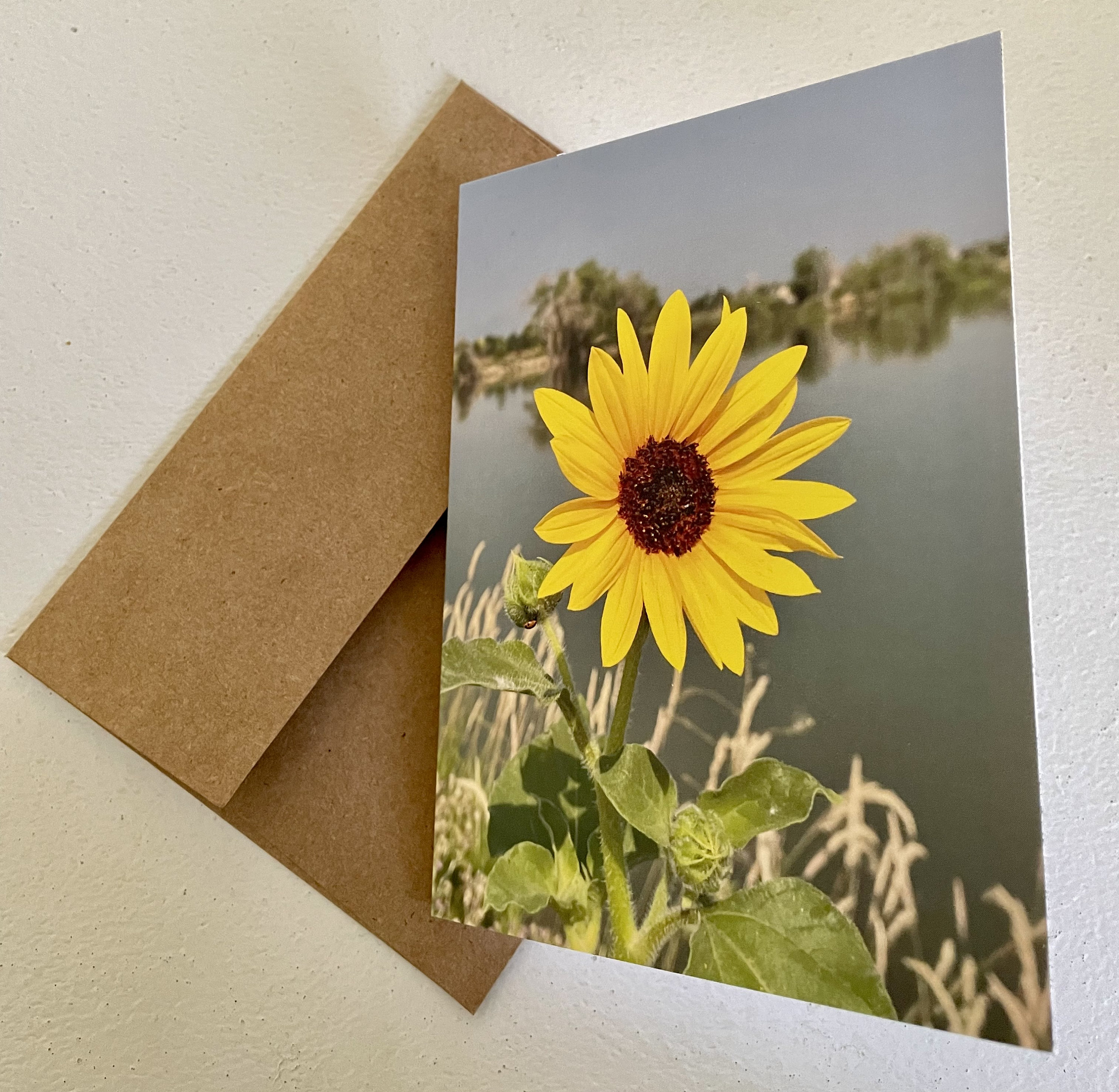 Sunflower Collection Assorted Greeting Card Set of 6 With Kraft ...