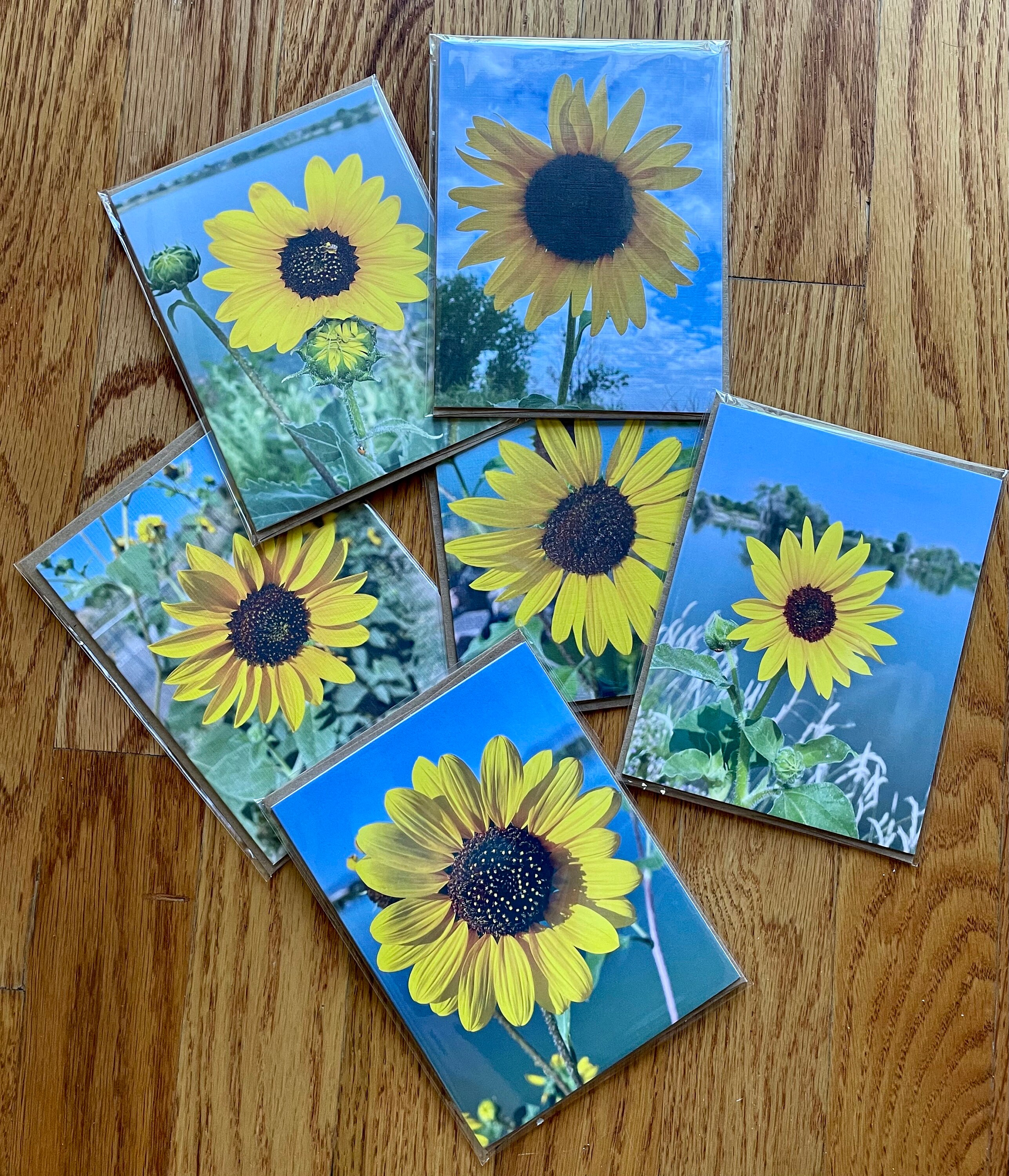 Sunflower Collection Assorted Greeting Card Set of 6 With Kraft ...