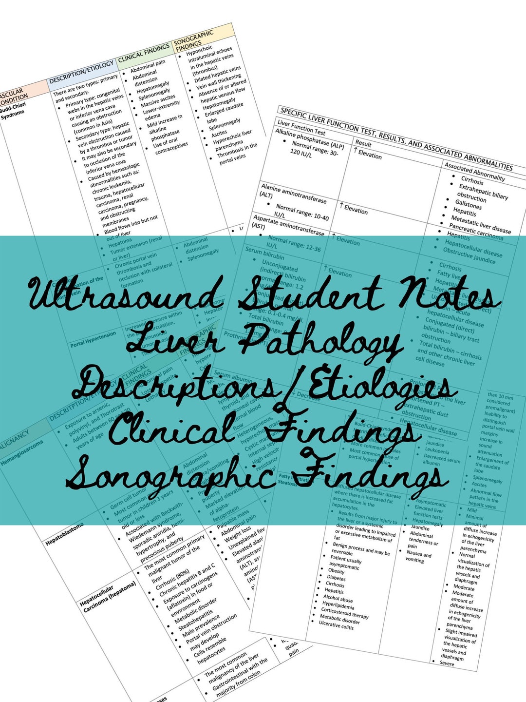 Liver Sonography Notes | Pathologies of the Liver | Ultrasound Student ...