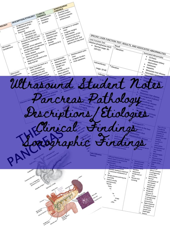 Pancreas Sonography Notes Pathologies of the Pancreas - Etsy