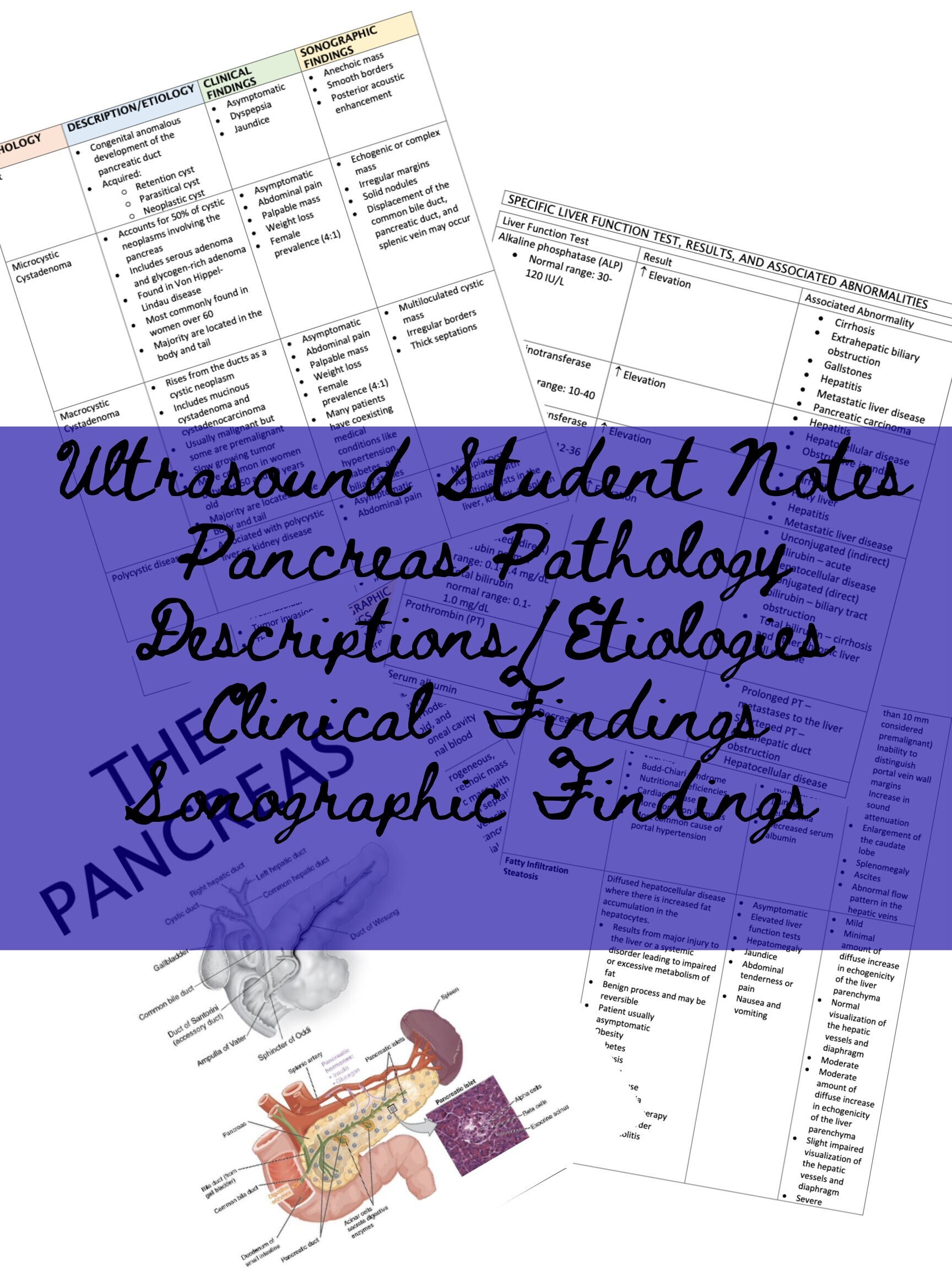 Pancreas Sonography Notes | Pathologies of the Pancreas | Ultrasound ...