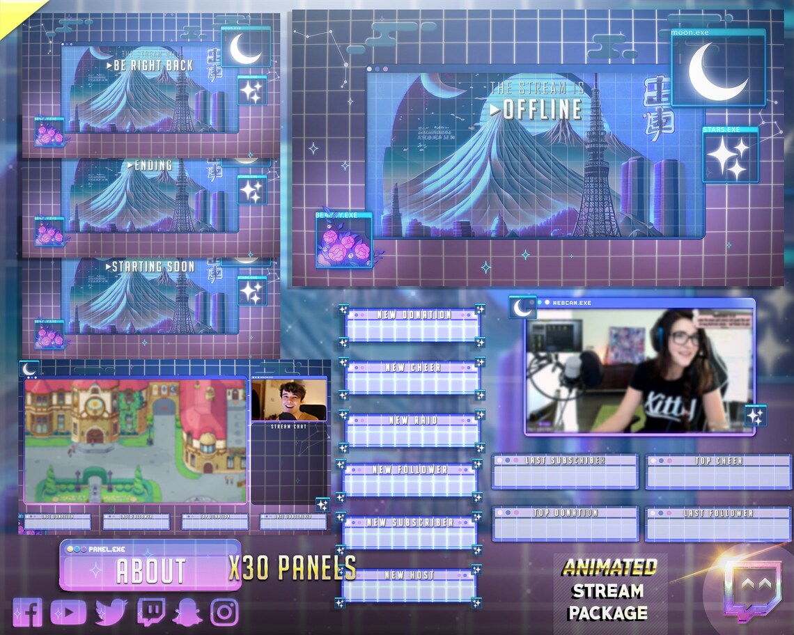 Animated Aesthetic Twitch Overlay Pack for Stream Aesthetic Night ...