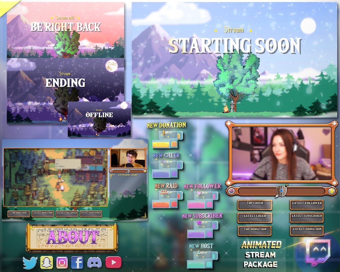 Animated Pixel Art Stream Overlays Pack RPG Twitch - Etsy UK
