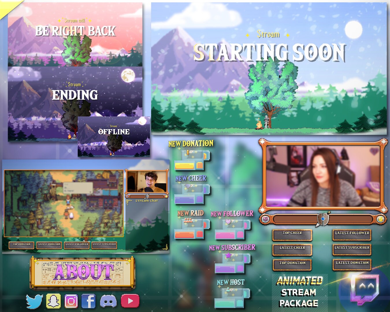 Animated Pixel Art Stream Overlays Pack RPG Twitch - Etsy UK