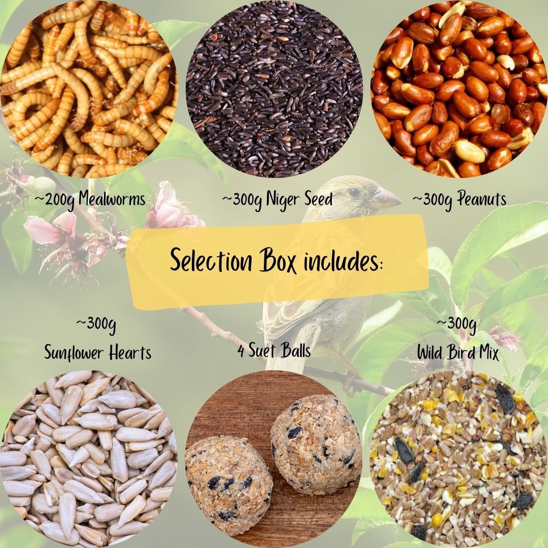 Wild Bird Feed Selection Box - Etsy