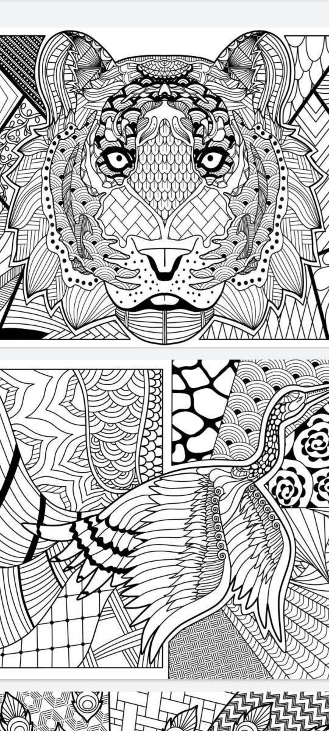 Colouring Pages - Etsy