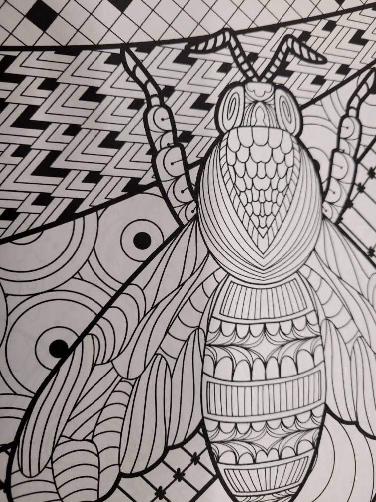 Colouring Pages - Etsy