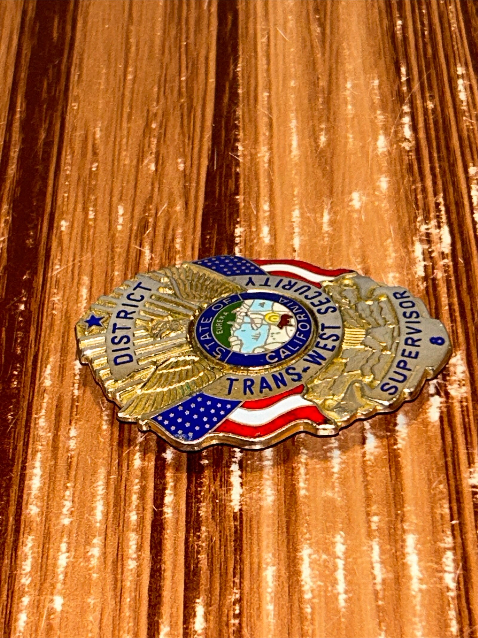 Vintage Obsolete Trans-west Security District Supervisor Badge Gold ...