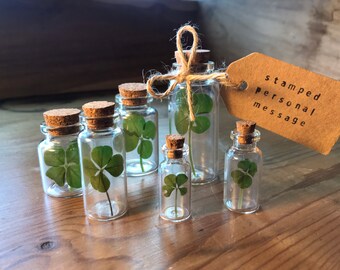 Real Clover Charm - Etsy