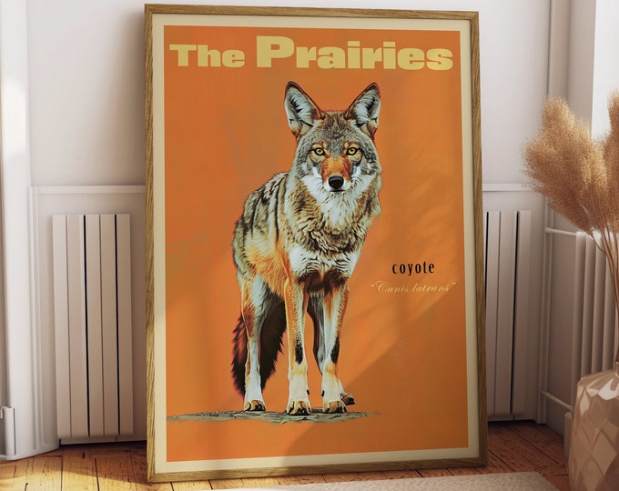 Coyote, Moon, and Star Nature Art Print Cactus and Desert Nighttime ...