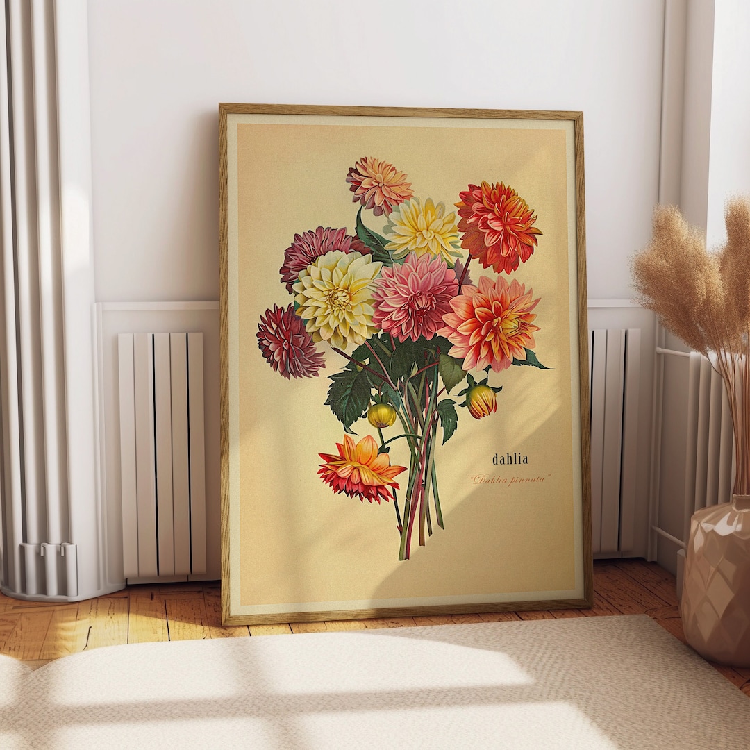 Vintage Bouquet of Dahlias Print Antique Flower Illustration Botanical ...