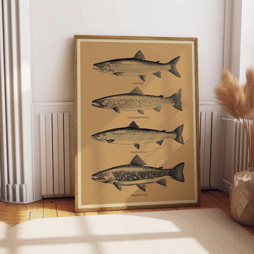 Trout and Salmon Vintage Fly Fishing Poster Art Retro Cabin Wall Decor ...