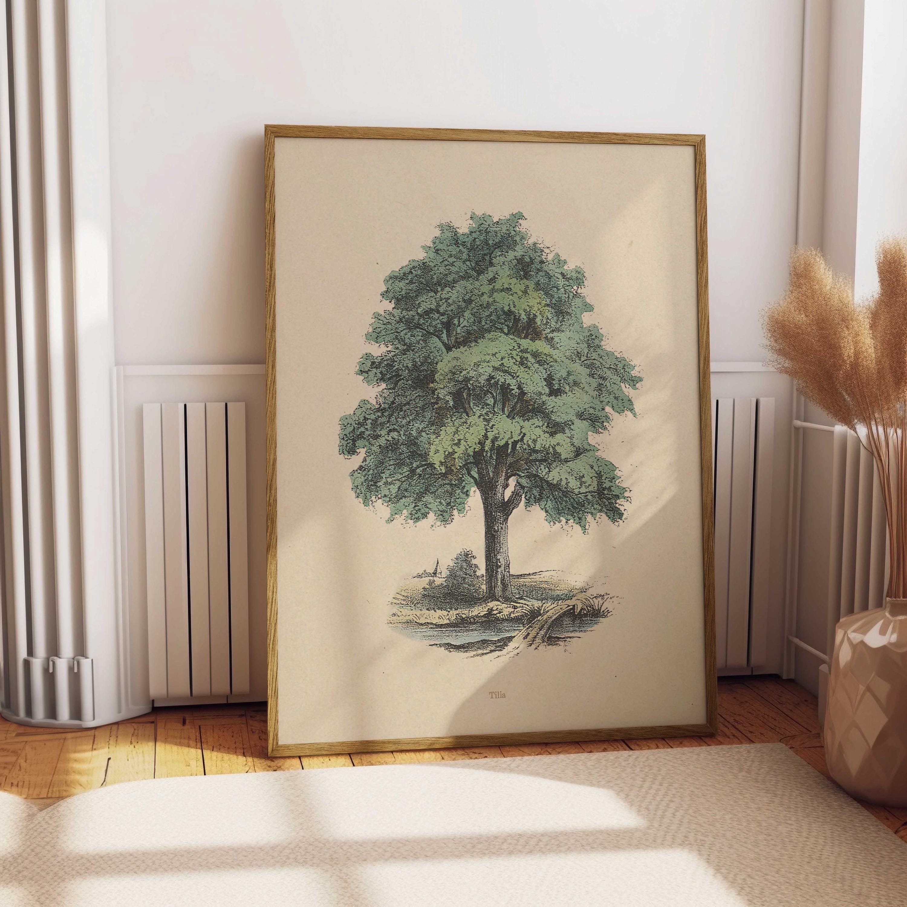 Vintage Tilia Tree Drawing Print Fine Art Linden Tree Poster Cabin ...