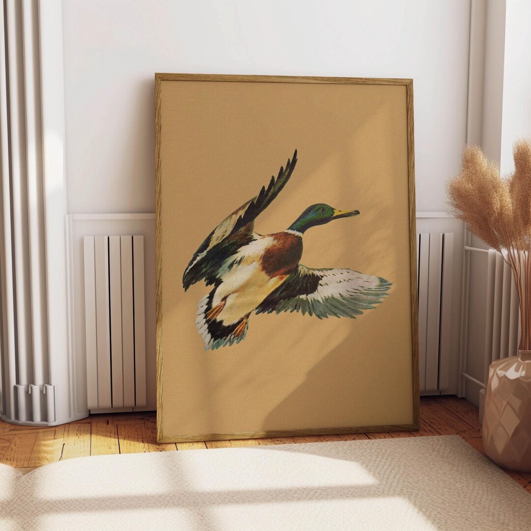 Vintage Flying Mallard Print Retro Outdoors Magazine Screen Print ...