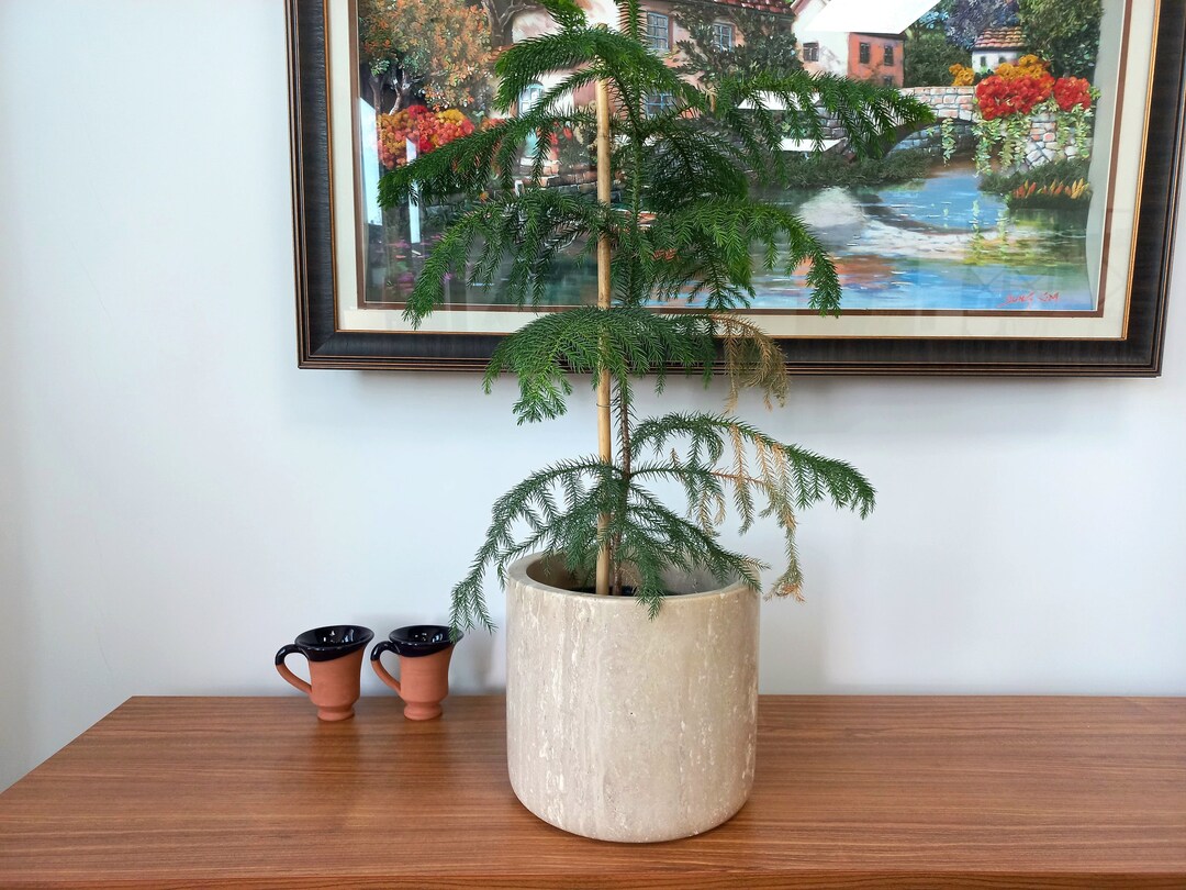 Large Travertine Planter, Light Beige-cream Natural Travertine ...
