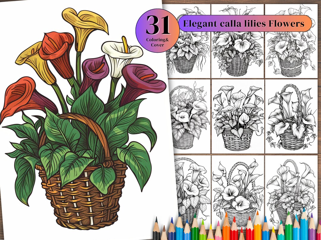 31 Elegant Calla Lilies Flowers Coloring Books , A4 Size Digital ...