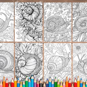 54 Snail Flower Coloring Pages for Kids and Adults Printable Floral ...