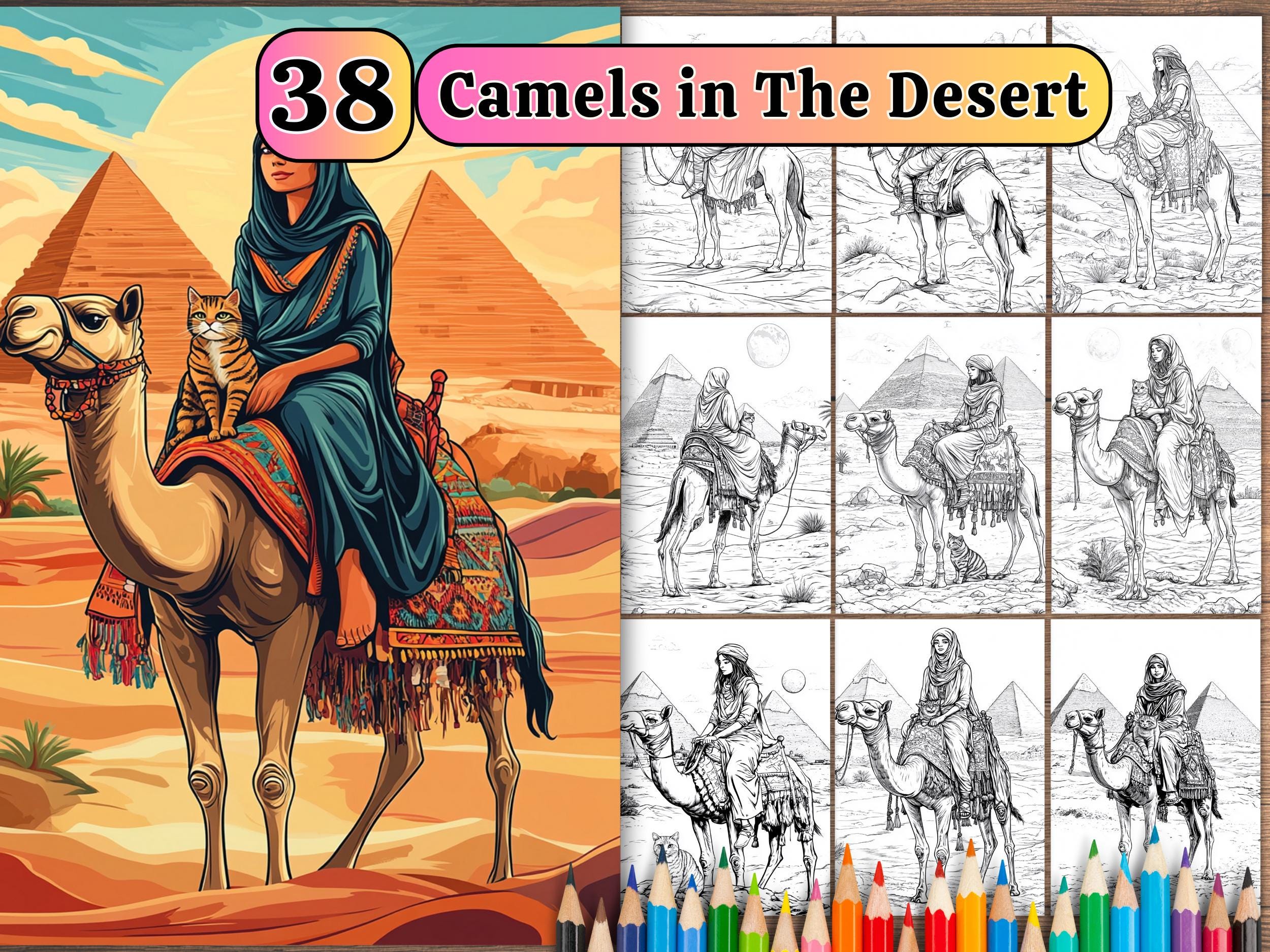 38 Camels in the Desert Coloring Page, Printable Camel Sketch, Desert ...