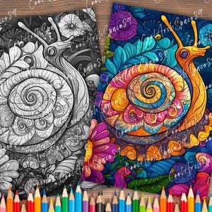 54 Snail Flower Coloring Pages for Kids and Adults Printable Floral ...