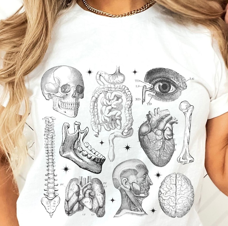 Human anatomy sketch - bgjery